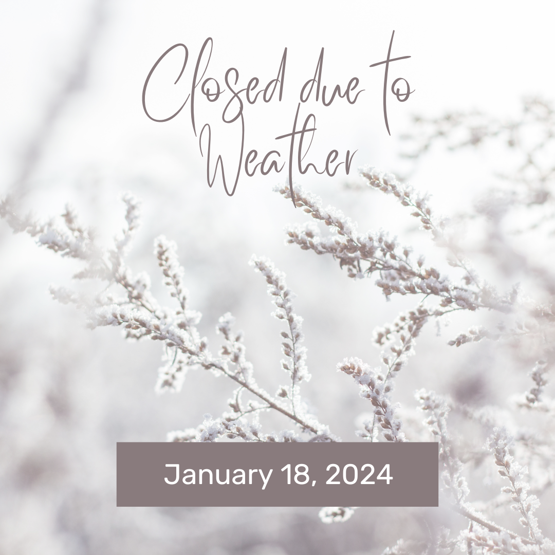 Abby Community School Society – Bringing great camps, events, programs ...